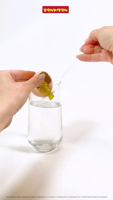 Игровой набор Яйцо динозавра растущее в воде #Shorts,#bondibon,#длядетей,#развивающая