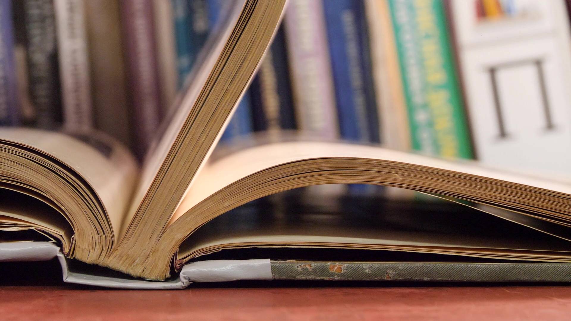 Бумажный памятник. 2 серия: Книги по искусству