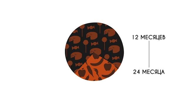 12 Здоровое питание в раннем возрасте