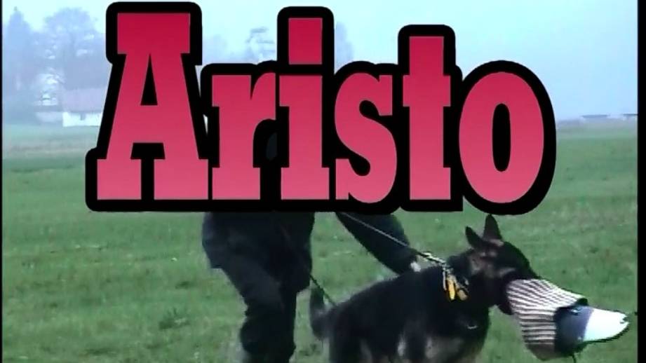 Aristo занятие 13