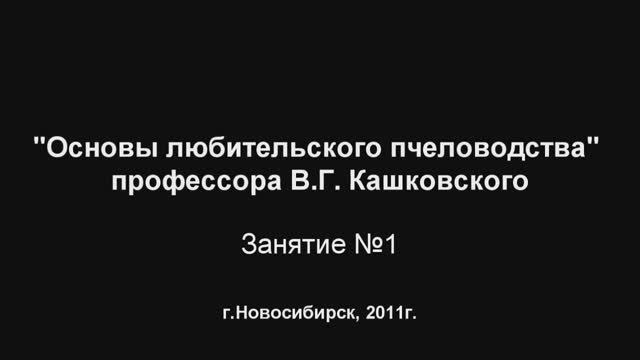 Занятие №1. Курсы В.Г. Кашковского.