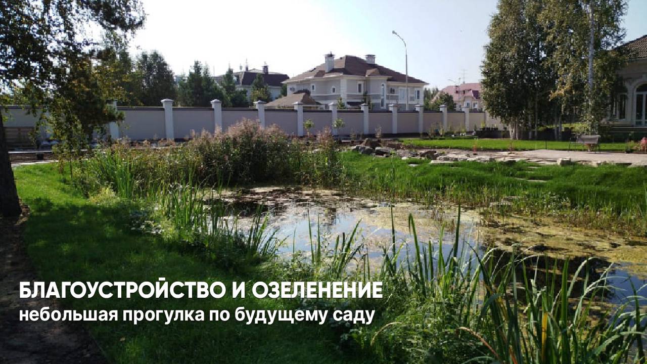 Благоустройство и озеленение участка без проекта