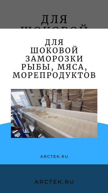 Спиральный скороморозильный аппарат