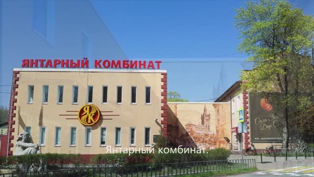 Янтарный. Калининградской обл. 6.05.2022г.