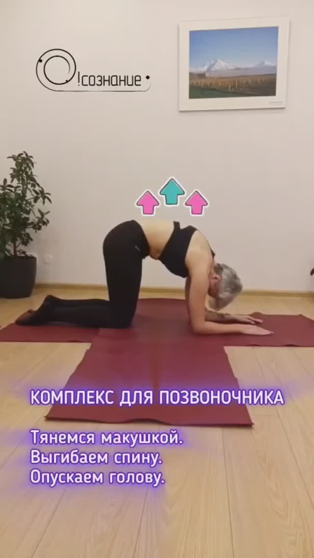 Здоровая спина: укрепляем мышцы спины #здороваяспина #йогаспб #позвоночник