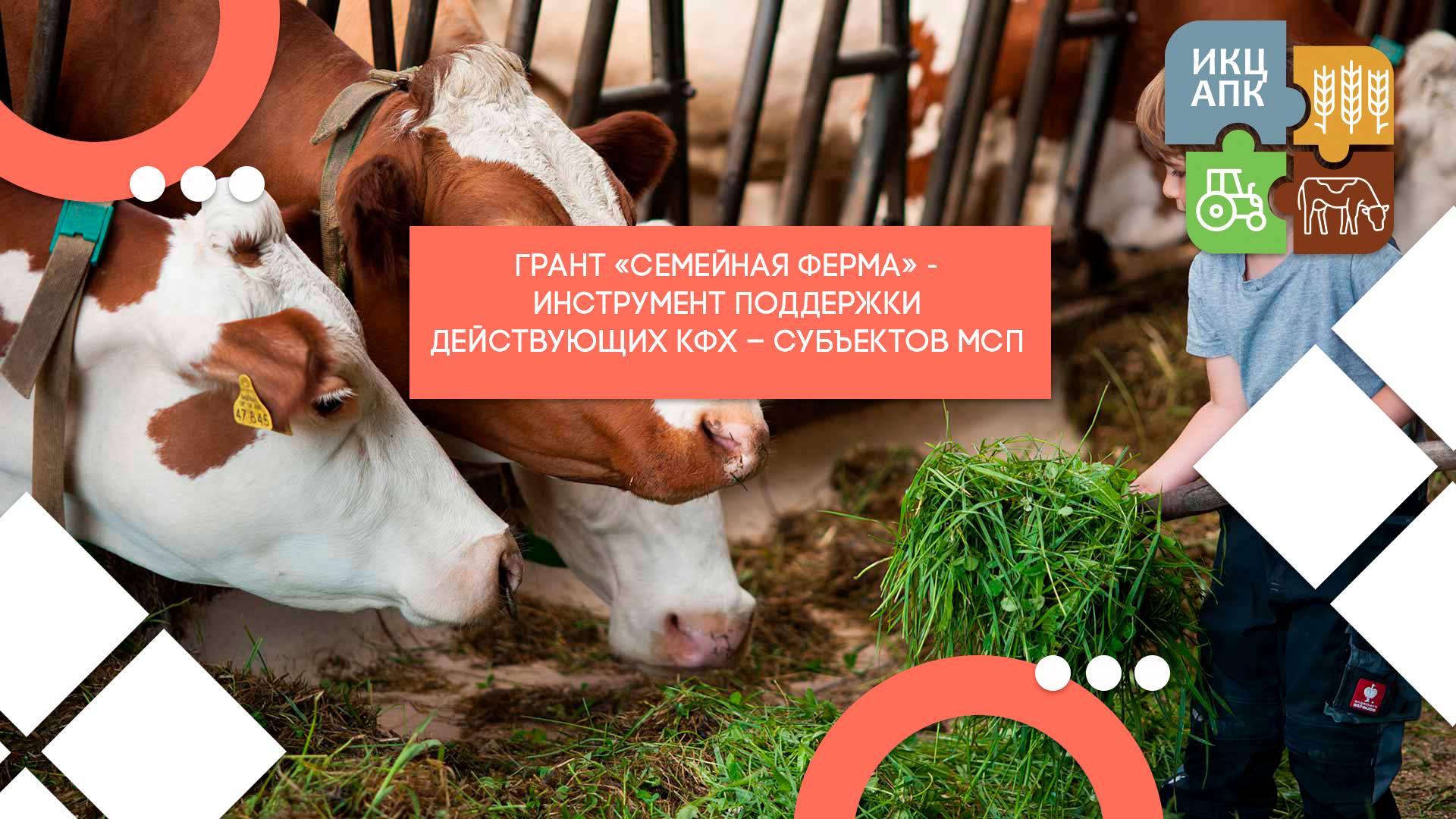 Запись семинара от 7 мая 2025 года