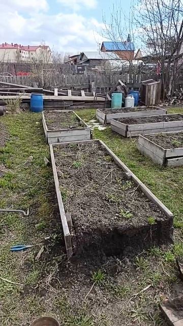 огородные дела в коротышах