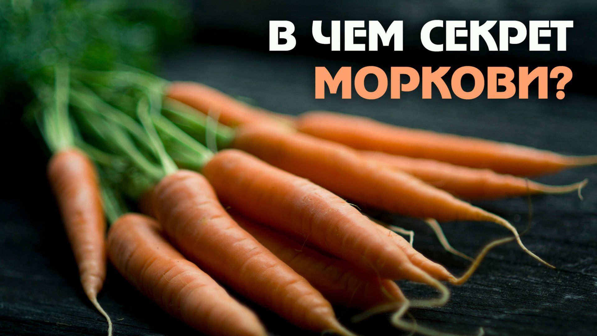 Как вырастить идеальную морковь? Секреты выращивания корнеплода