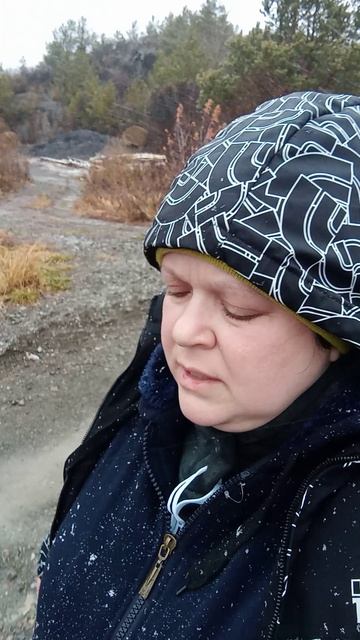 VID_20241101_103159.mp4