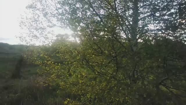 Как прожить 100 лет