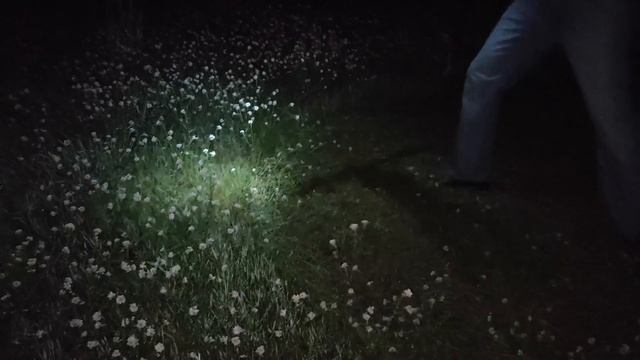 Ночной покос ручной косой.