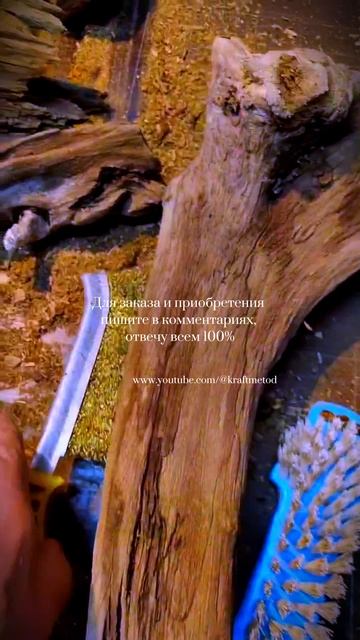 Коряги для декора shorts