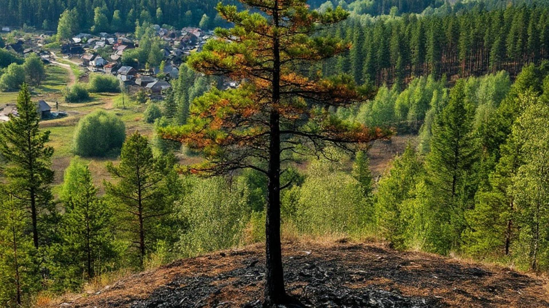 20250510_184234_001 Пою в пути к 80-летию Победы.  На безымянной высоте