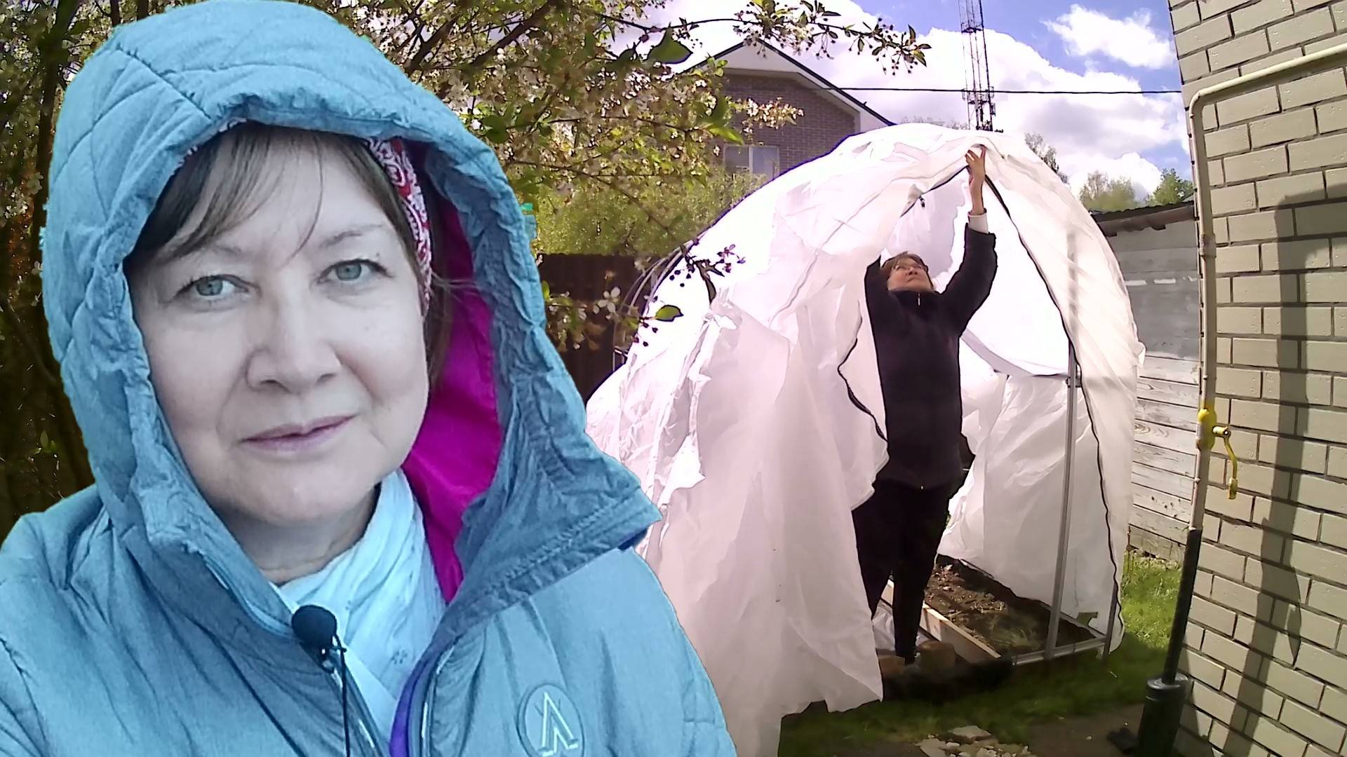 Газон посеяла, форточку вставила, тепличку накрыла.  4 сотки.