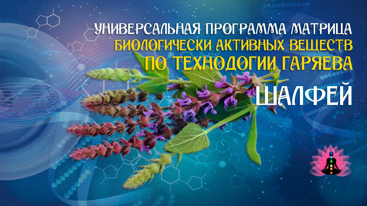 Шалфей  🔊 программа матрица по технологии Гаряева П.П ☀️ SoftRadio.ru
