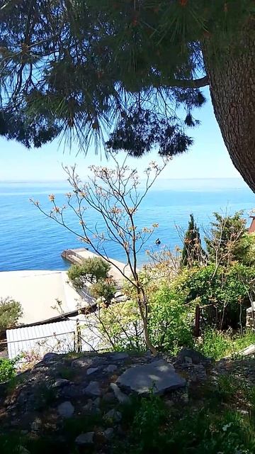 Мисхор и Русалка. Крым. ЮБК. Гаспра. 03.05.2025г.