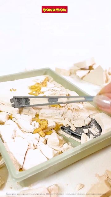 Набор для опытов Раскопки Динозавр 3D скелет Птерозавр #Shorts,#bondibon,#длядетей,#развивающая