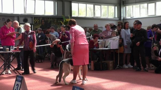 Посадский Страж Захар