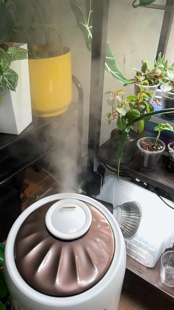 Цветочный релакс