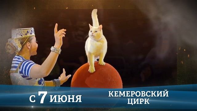 Тайна Пирата в Кемерово