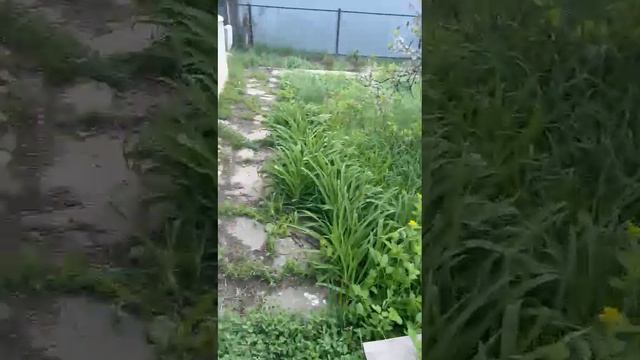 Продам жилой дом с баней в г. Балаково. +7 927 225 70 71