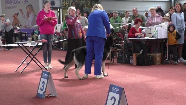 Жакар из Невского Десанта