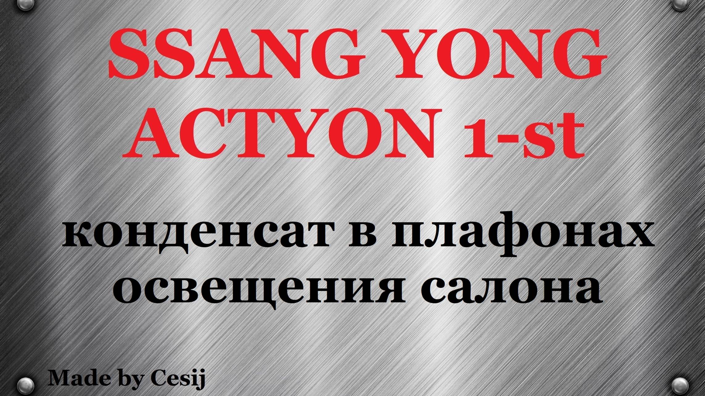 Ssang Yong Actyon 1. Конденсат в плафоне освещения салона. Герметизация.