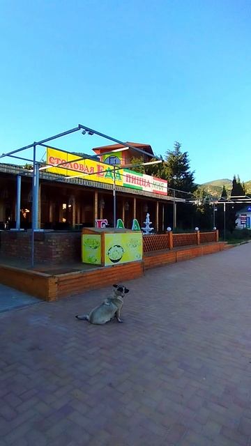 Столовая и пиццерия. Новый Свет. Крым.