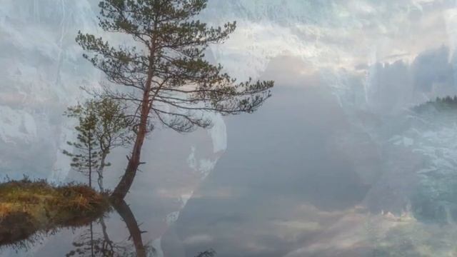 Norte Ruso - 2024 - 2025