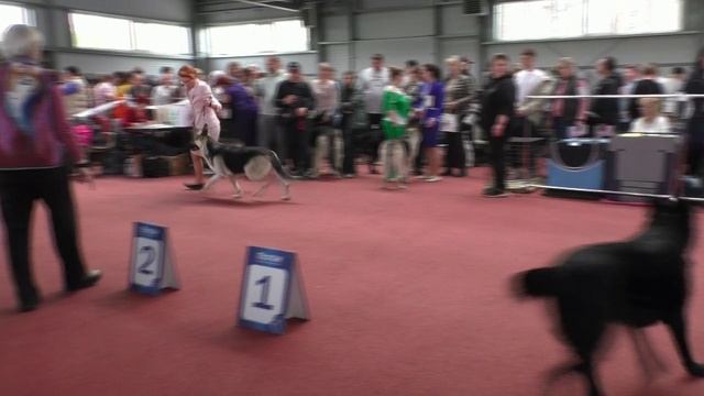 Класс открытый