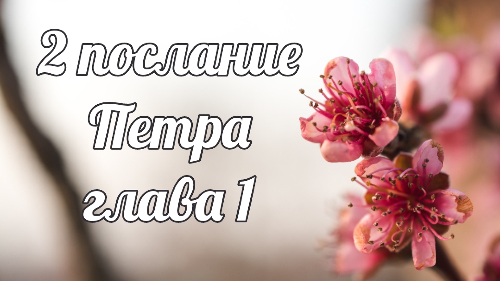 2 послание апостола Петра глава 1