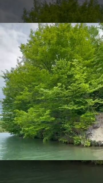 красота природы