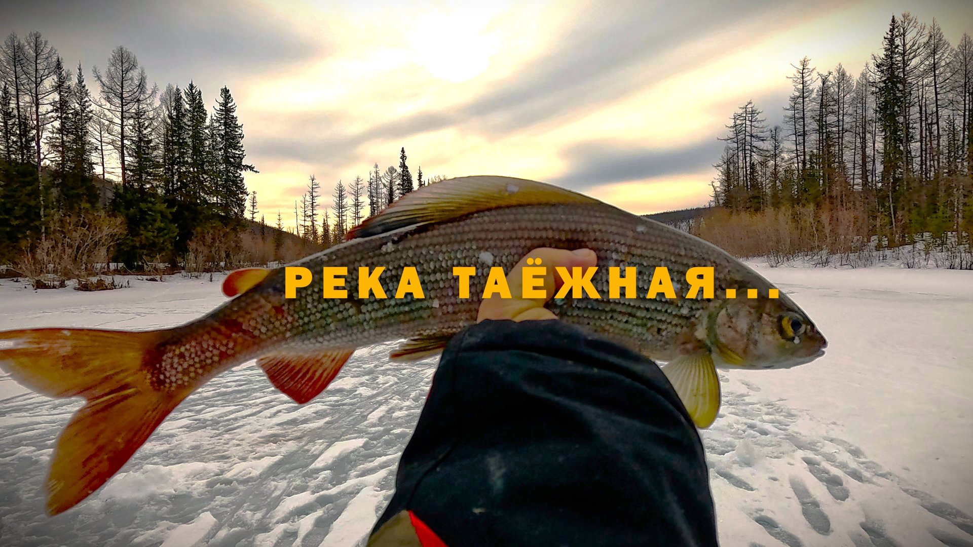 РЕКА ТАЁЖНАЯ