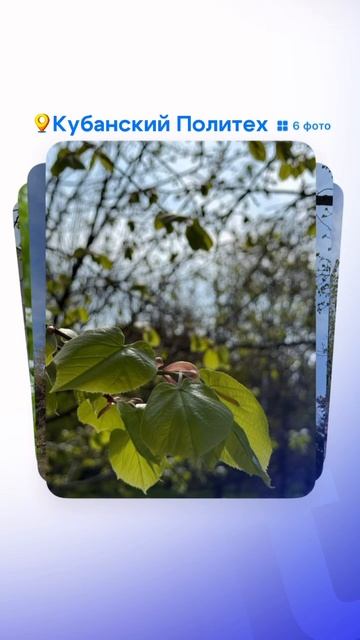 Доброе утро, Политех!