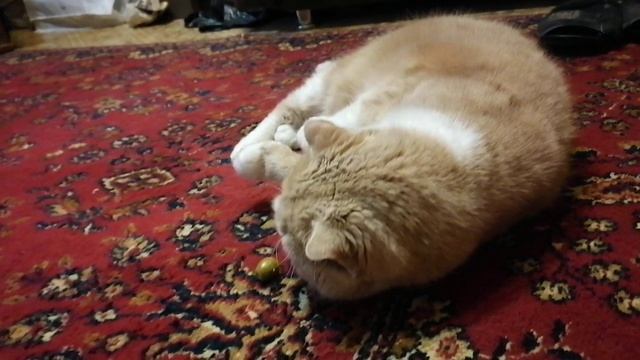 Реакция Томаса на оливку