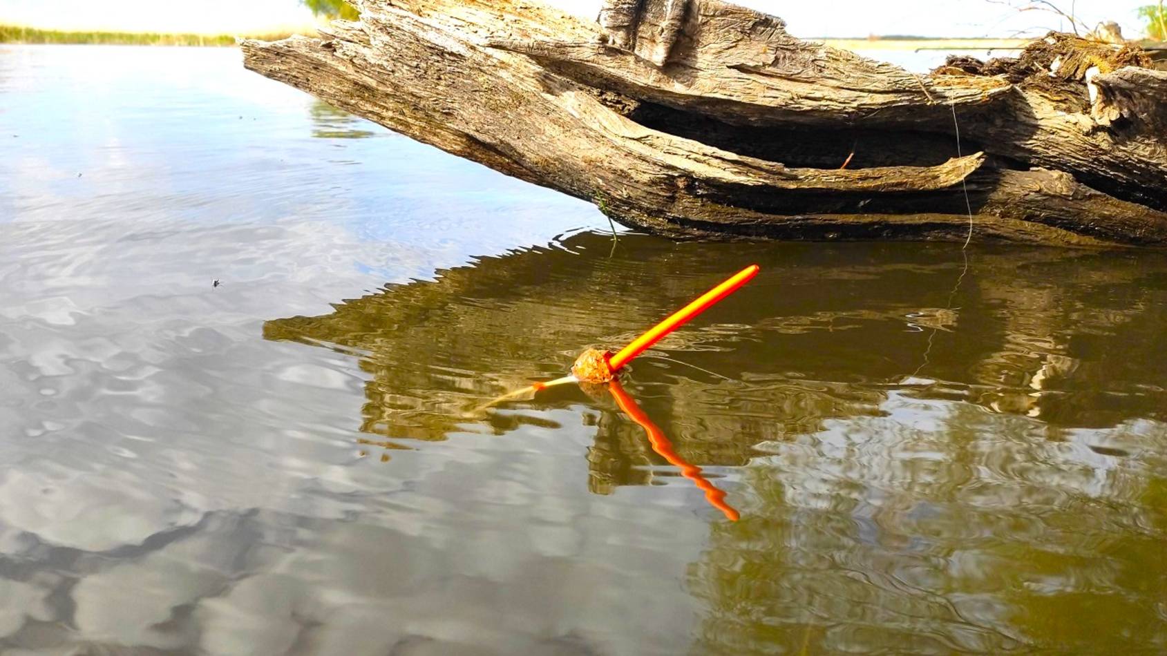 Это СЛИШКОМ БОЛЬШАЯ РЫБА для поплавка!!!! Рыбалка на сазана с удочкой