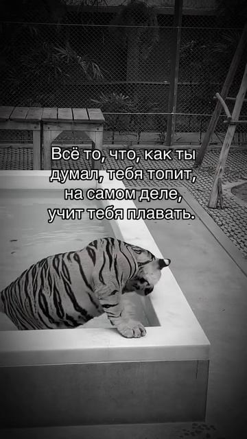 Будь на плаву