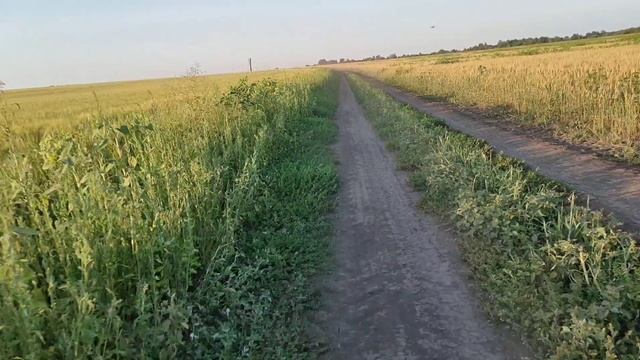 мотоциклы