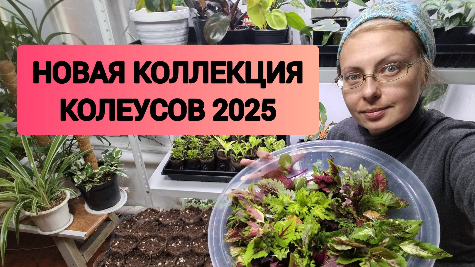 НОВАЯ КОЛЛЕКЦИЯ КОЛЕУСОВ 2025