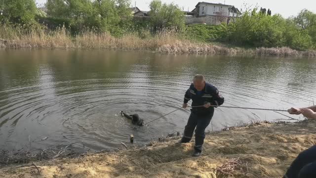 Обследование водолазами пляжей Новой Усмани в 2025 году