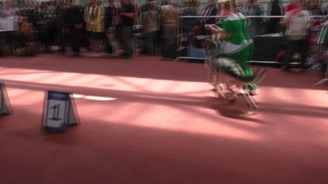 Класс юниоров