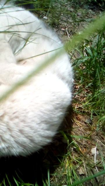 Кошко-май, процессы  _20250512_113229