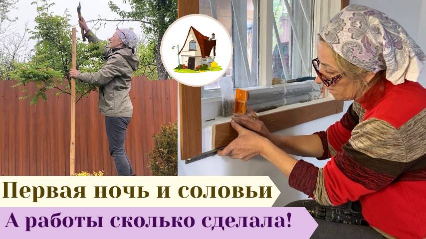 Просто доброе видео со Старой Дачи. Архив 10-11 мая.