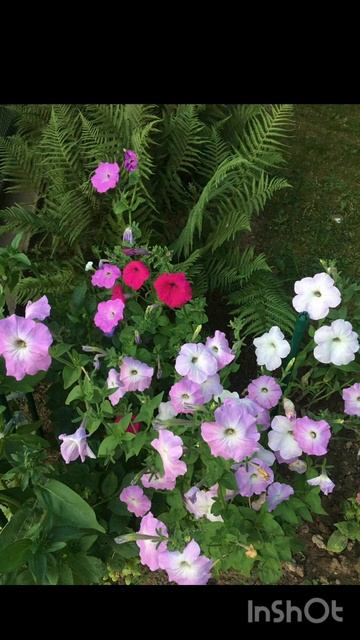 На пути к счастью