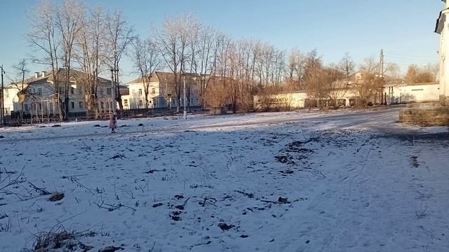 VID_20241125_144933.mp4