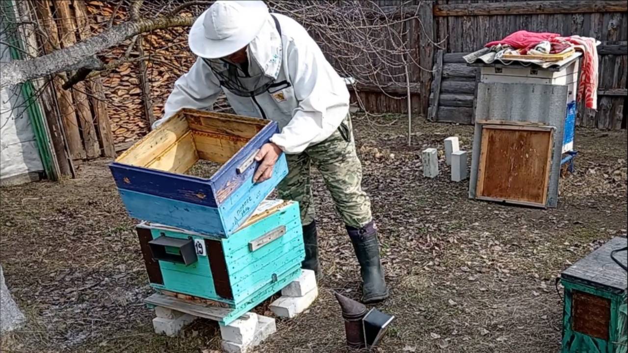 Расширяю гнёзда у пчелосемей (31.03.2025 года)