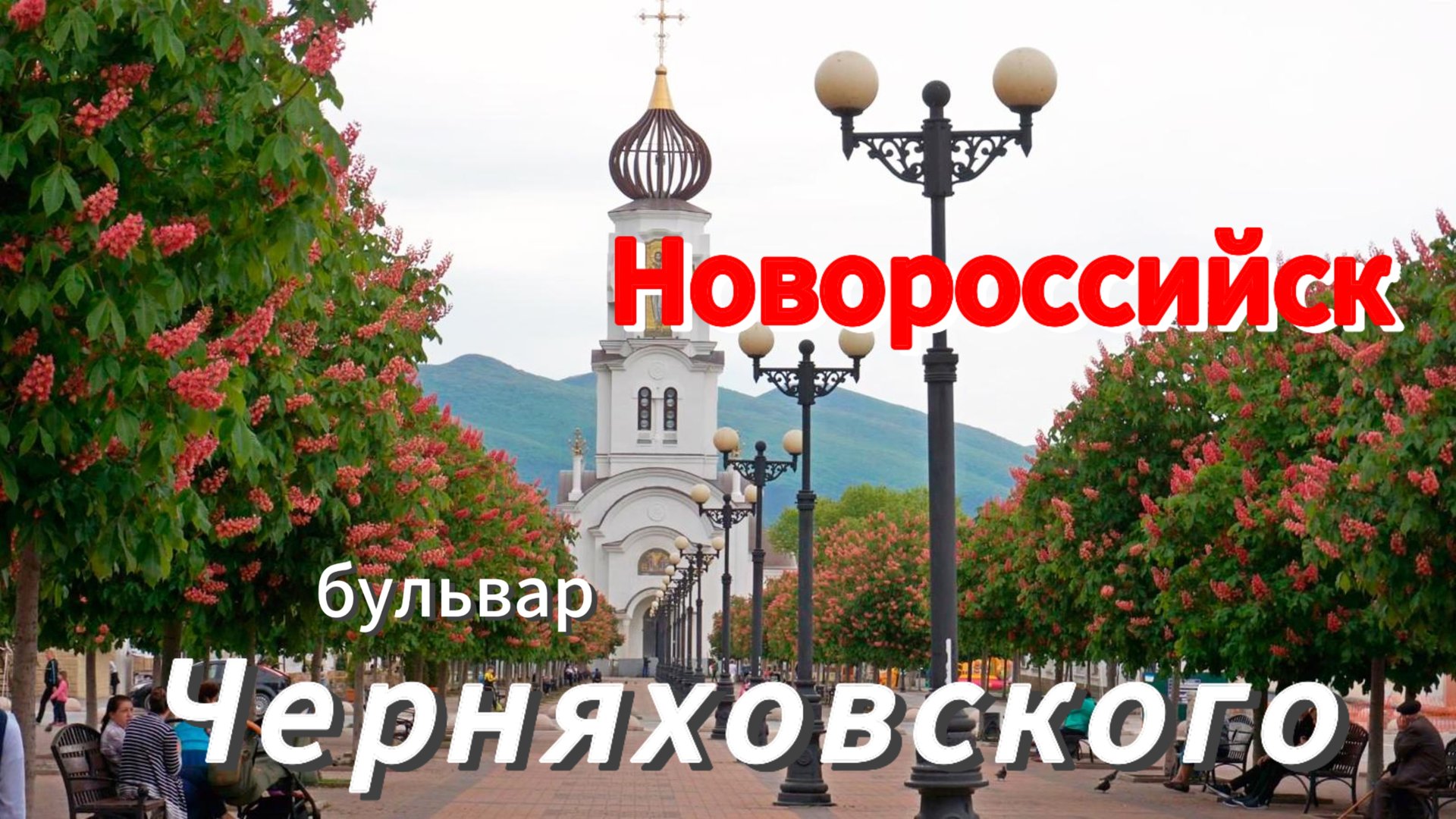 ДОРОГА от Натухаевской до Новороссийска. РОЗОВЫЕ КАШТАНЫ. Набережная и МОРЕ.
