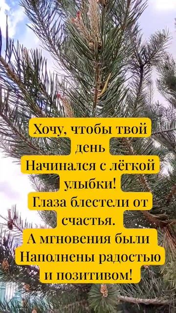 Пожелания счастья, хорошего дня, позитива и отличного настроения!