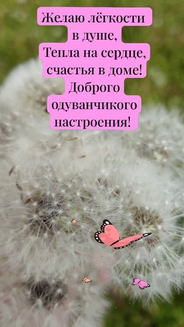 Желаю лёгкости в душе, тепла в сердце. Доброго одуванчикого настроения!