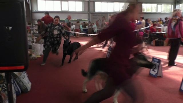 Класс промежуточный